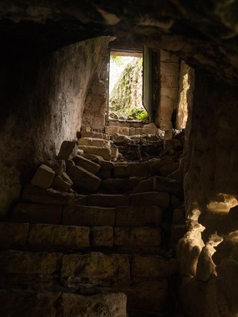 Tour tra i Templi dell'Olio e gli Olivi Patriarchi - Tasting and Cooking: Savoring Matera’s Land