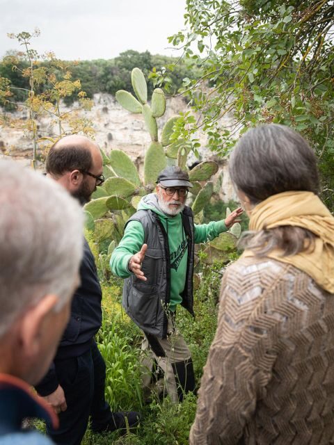 Tour tra i Templi dell'Olio e gli Olivi Patriarchi - Scenic Views and Final Impressions