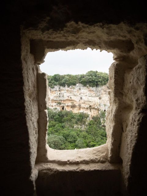 Tour tra i Templi dell'Olio e gli Olivi Patriarchi - Who Will Love This Tour?