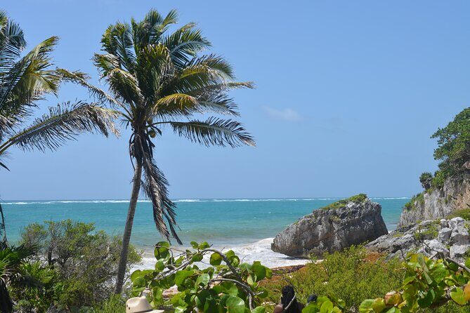Tour Tulum, Cenote and Swim with Turtles in Akumal - An Authentic and Balanced Day in Cancun