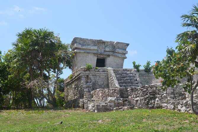 Tour Tulum, Cenote and Swim with Turtles in Akumal - Practical Tips for Your Trip