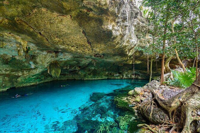 Tour Tulum Xtreme zip line abseiling and adventure in cenote - The Sum Up: Who Will Love This Tour?