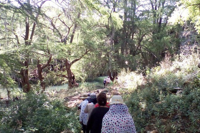 Tour Visiting the Malpais - A Deep Dive Into the Experience