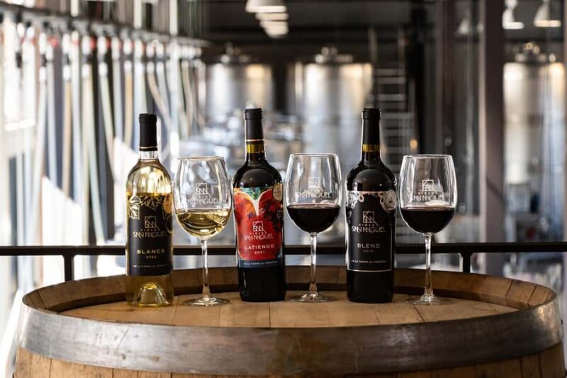 Tour & Wine Tasting at Viñedo San Miguel / San Bartolo Experience - Unlocking the Charm of Viñedo San Miguel / San Bartolo Experience