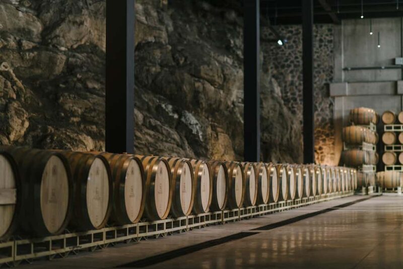 Tour & Wine Tasting San Miguel Vineyard / San Miguel Experience - Key Points
