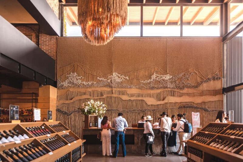 Tour & Wine Tasting San Miguel Vineyard / San Miguel Experience - Practical Tips for Visitors
