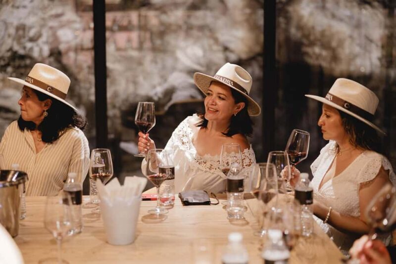 Tour & Wine Tasting San Miguel Vineyard / San Miguel Experience - Final Thoughts