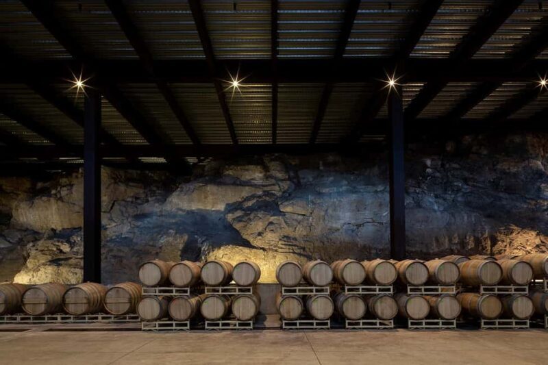Tour & Wine Tasting Viñedo San Miguel / San Bartolo Experience - What to Expect During the Tour