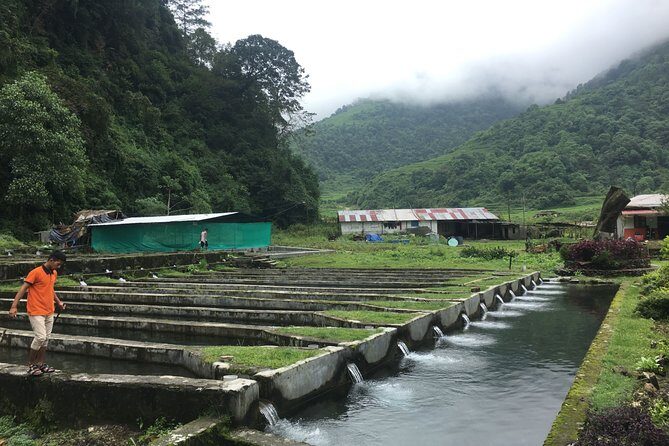 Tour with Dinner to Trout Fish Farm - Bhujung River - Practical Details and What to Expect