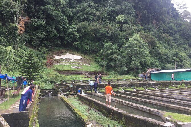 Tour with Dinner to Trout Fish Farm - Bhujung River - Authenticity and Unique Features