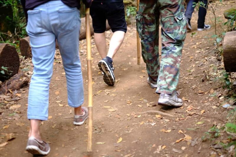 Tour with Hike in Kiew Mae Pan Natural Trail from Chiang Mai - Deep Dive into the Itinerary