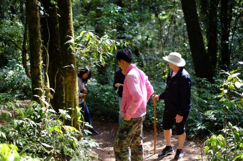 Tour with Hike in Kiew Mae Pan Natural Trail from Chiang Mai - FAQ