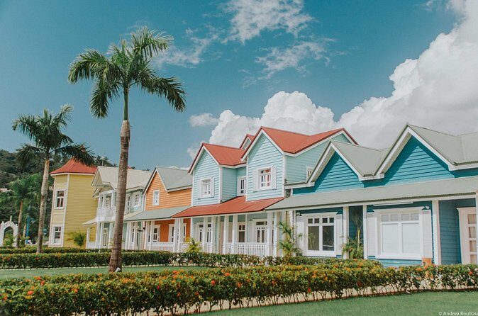 Tour with Whale Watching in Samaná, Beach and Waterfall - The Sum Up