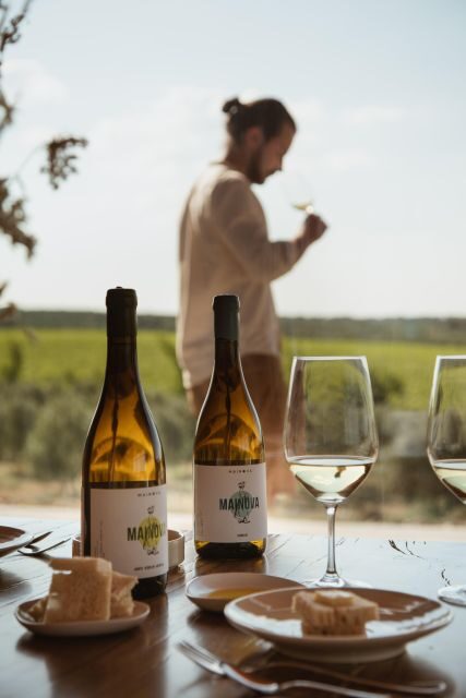 Tour with Wine and Olive Oil Tasting - An Introduction to Mainova’s Wine and Olive Oil Tour