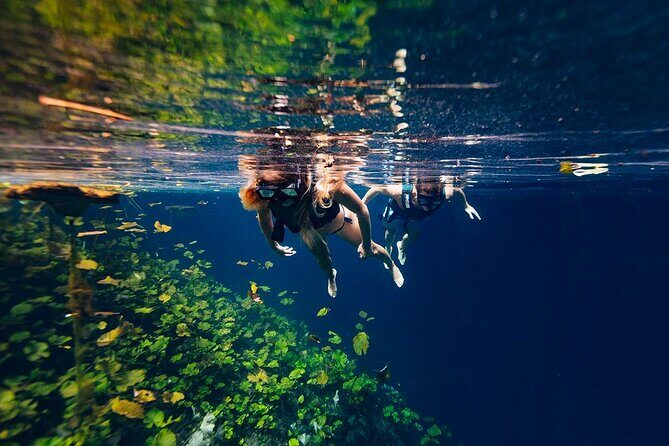 Tour Xenotes Advenure From Cancun & Playa del Carmen - A Deep Dive into the Xenotes Adventure Tour