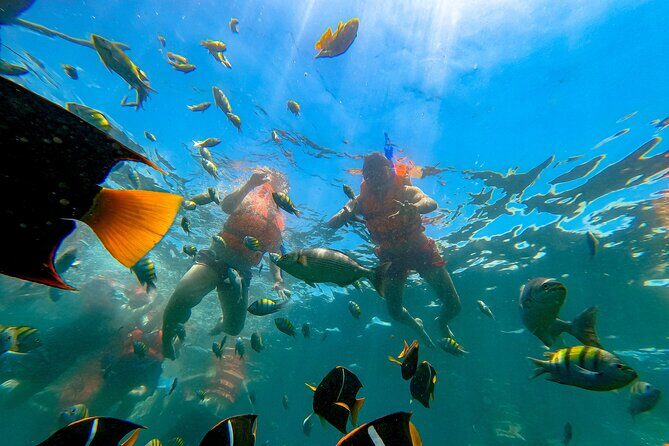 Tour Yelapa and Majahuitas with Lunch and Open Bar - Authentic Experiences and Traveler Insights