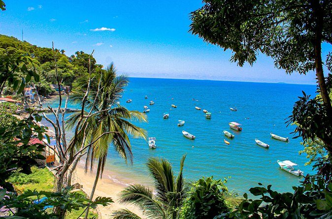 Tour Yelapa and Majahuitas with Lunch and Open Bar - FAQs