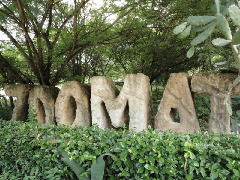 Tour ZOOMAT, Christ of Chiapas, Sumidero Canyon Viewpoints in Spanish - FAQs