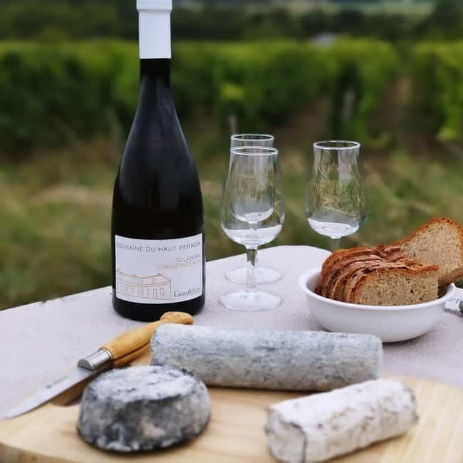 Touraine wine & cheese ebike ride, tasting in the vineyards - Key Points