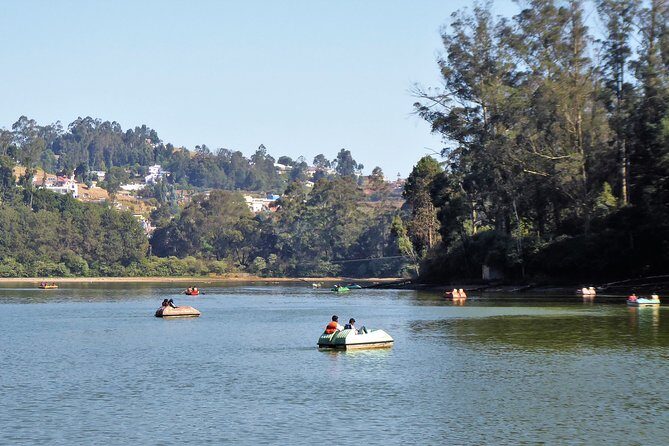 Touristic Highlights of Ooty (Guided Full Day City Sightseeing Tour by Car) - Ooty Lake: The Picturesque Centerpiece