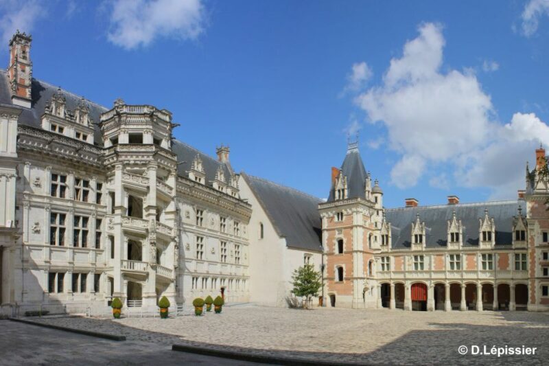Tours/Amboise: Private day trip Chambord, Blois & Cheverny - What Makes This Tour Stand Out?