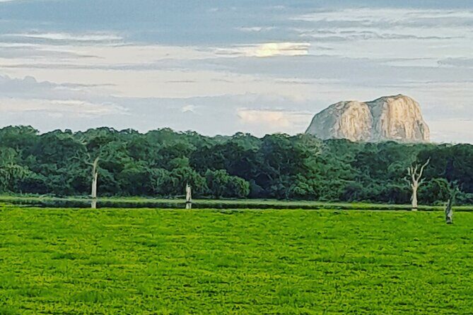 Tours and Transportation in Sri Lanka - Final Thoughts: Who Should Book This Tour?