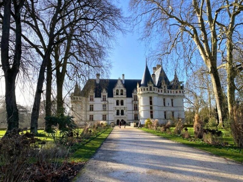 Tours: Chateaux Azay-le-Rideau and Villandry Morning Tour - An In-Depth Look at the Tour Experience