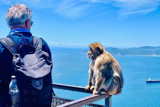 Tours of Gibraltar - STANDARD TOUR - The Group Dynamic and Comfort