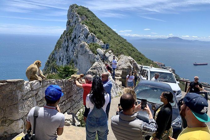Tours of Gibraltar - STANDARD TOUR - Expert Guides Make a Difference