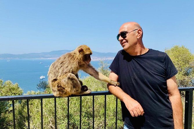 Tours of Gibraltar - STANDARD TOUR - Considerations and Possible Drawbacks