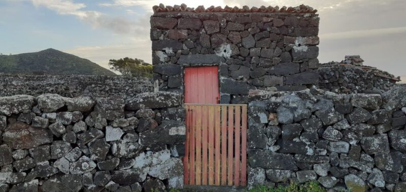 Tours on Pico Island - Cultural and Natural Landscape - What to Expect from This Tour