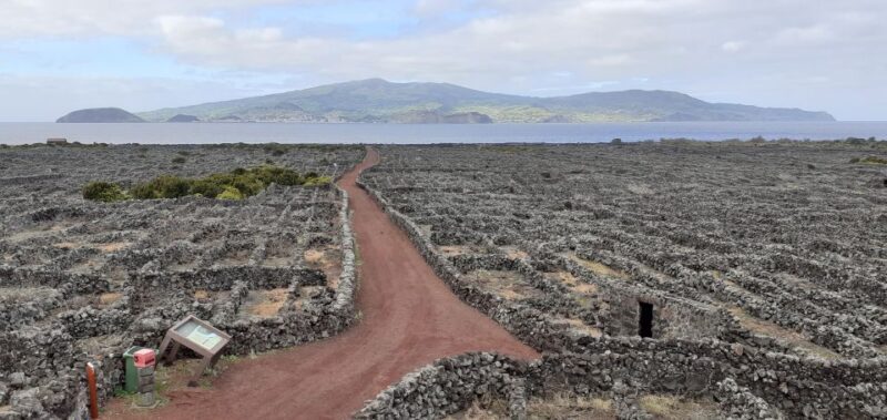 Tours on Pico Island - Cultural and Natural Landscape - Cultural and Natural Highlights