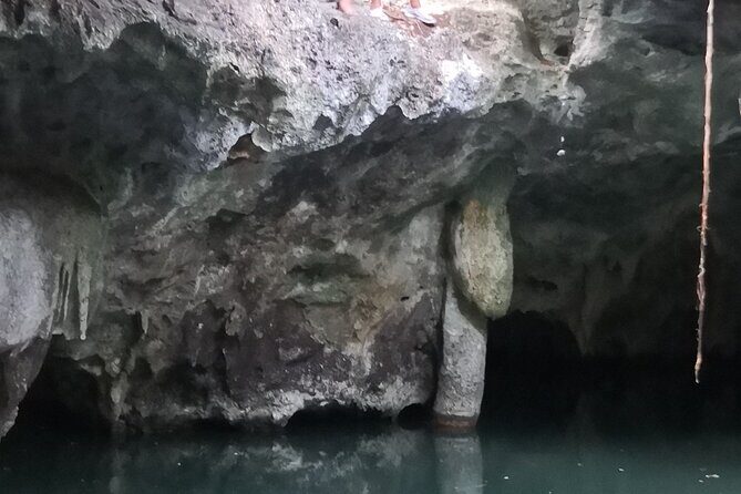 Tours On The Island Cozumel - Is It Worth the Cost?