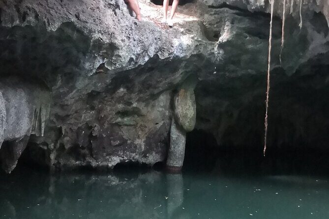 Tours On The Island Cozumel - Who Should Book This Tour?