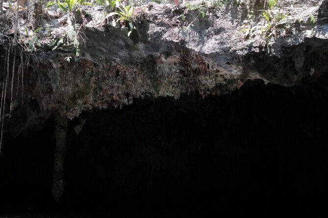 Tours On The Island Cozumel - Final Thoughts