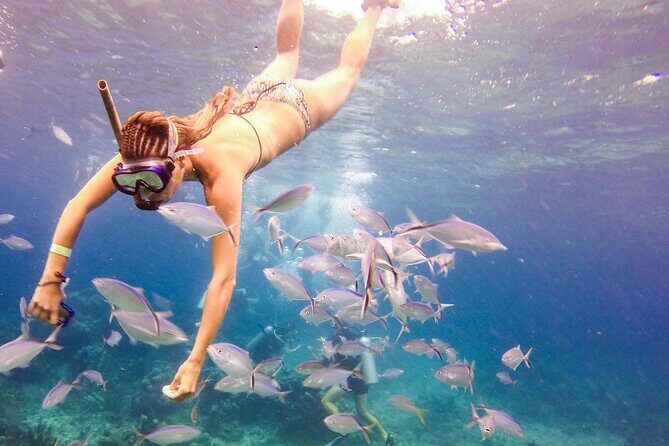 Tours to Saona Island - Detailed Review of the Tour Experience