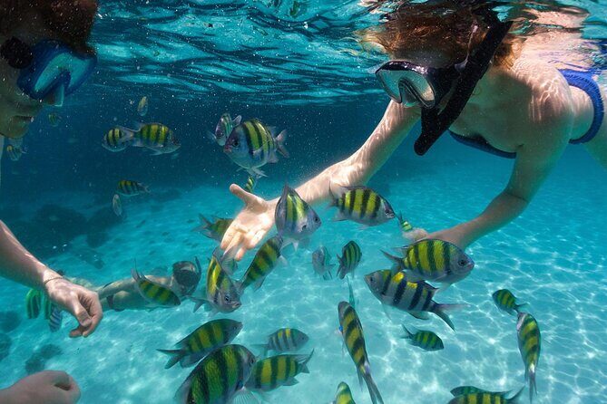 Tours_Miami_Day Trip To Key West From Miami_D662 38439P1 Review - The Itinerary in Detail