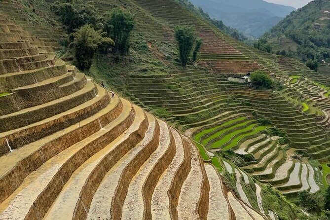 Tours_Sapa_Sapa Trekking Experience Trekking Through Terraced Rice Fields_D50492 250466P141 Review - Practicalities and What to Expect