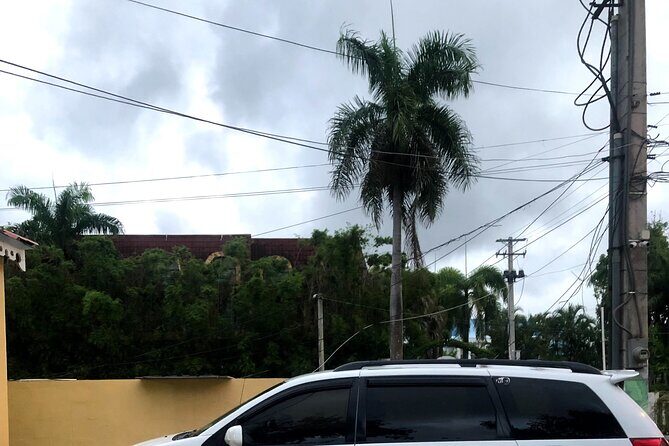 Tous/excursión/puerto plato,los 27 charcos de damajagua tour - Who Will Love This Tour?