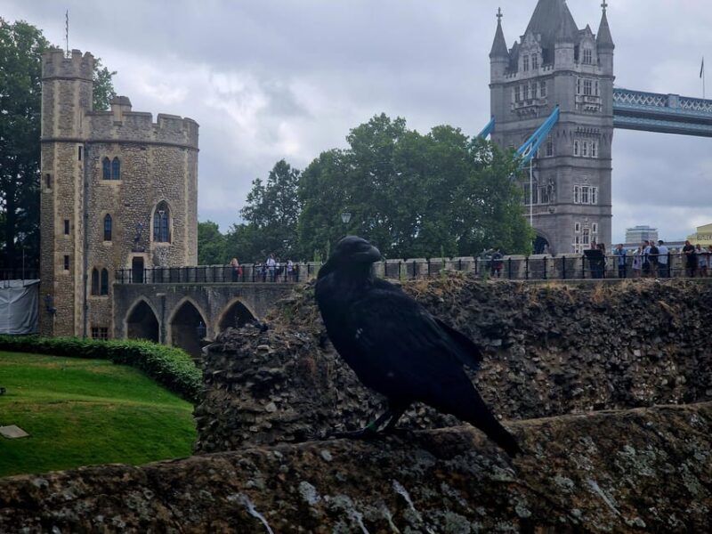 Tower of London Crown Jewels and English Royal History Tour - Practical Details and Considerations