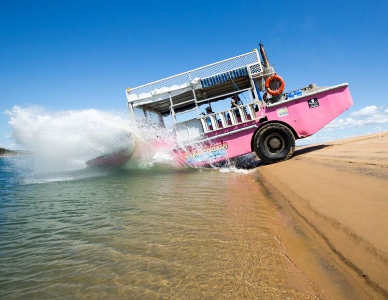 Town 1770: Afternoon Coastline Tour - How It Fits Into Your Day