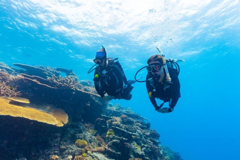 Townsville & Magnetic Island: MOUA & Great Barrier Reef Trip - The Sum Up: Who Should Consider This Tour?