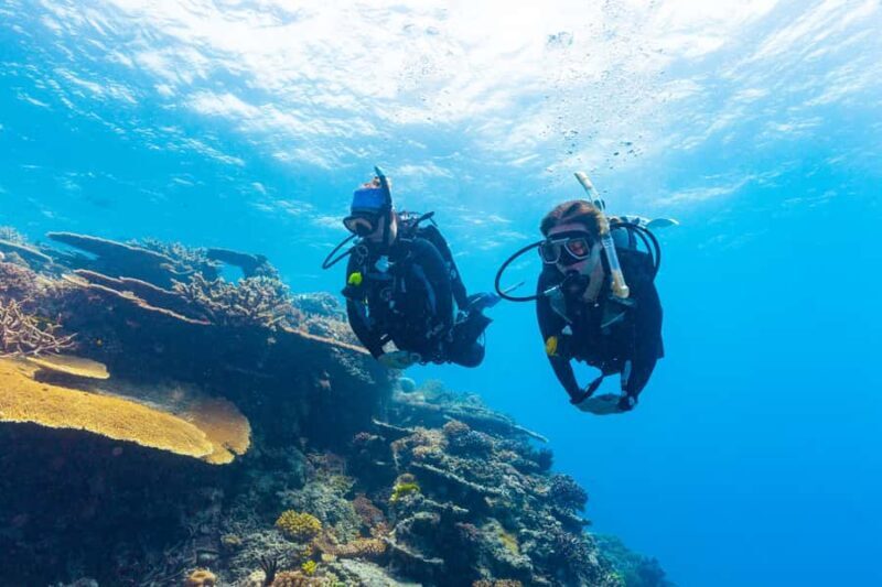 Townsville & Magnetic Island: MOUA & Reef Scuba Experience - The Sum Up