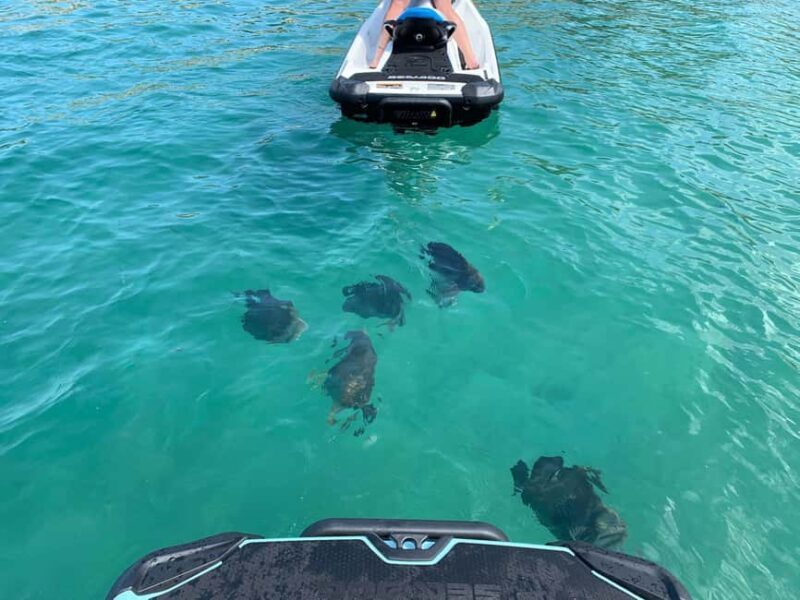 Townsville: Magnetic Island Snorkeling by Jet Ski - Key Points