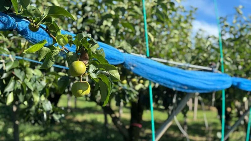 Toyama: E-Bike Tour with Local Guide - An In-Depth Look at the Toyama E-Bike Tour