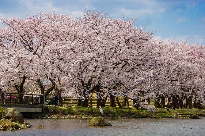 Toyama Private Customizable Full Day Tour - Making the Most of Your Day in Toyama