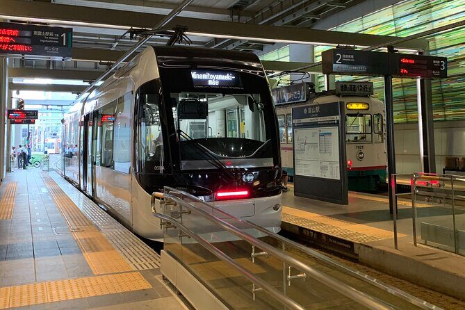 Toyama Sea & Mountain with Local Flavors - A Detailed Look at the Experience