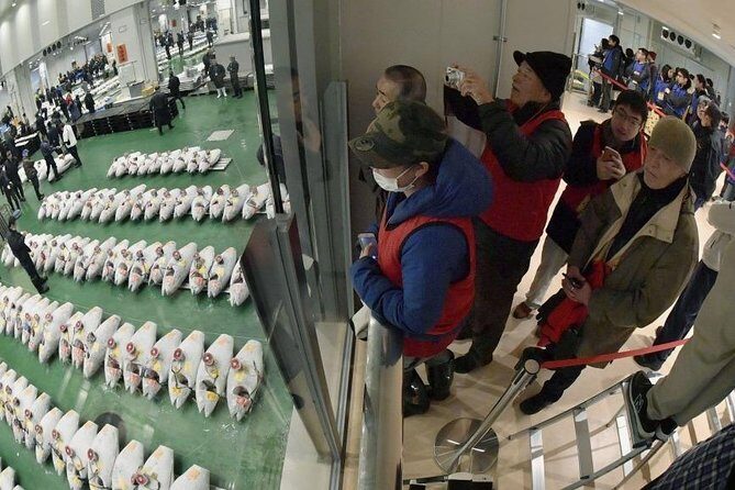 Toyosu Market Morning Tuna Auction and Tsukiji Food Tour with Licensed Guide - The Experience in Detail: A Practical Breakdown