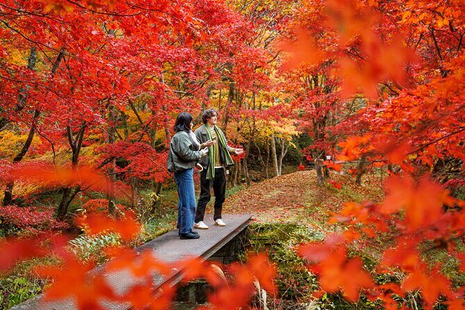 Toyota Green Life Experience Autumn Leaves, Gohei Mochi in Inabu - An In-Depth Look at the Toyota Green Life Experience Tour