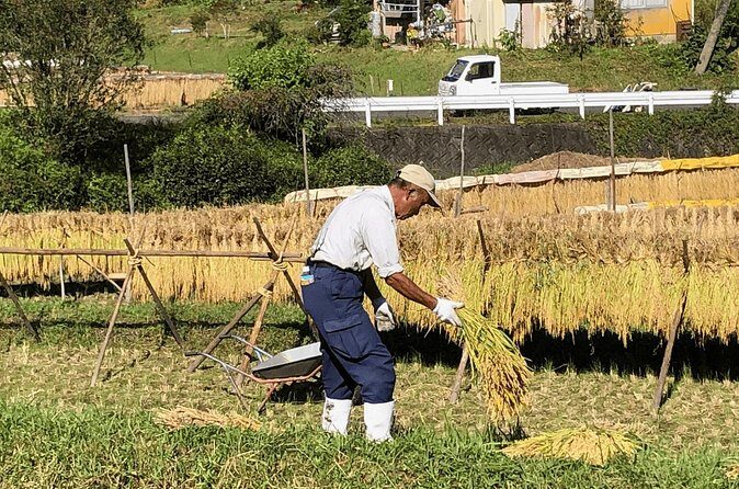 Toyota Green Life Experience Seasonal Farm with Farmers in Inabu - Who Will Love This Tour?